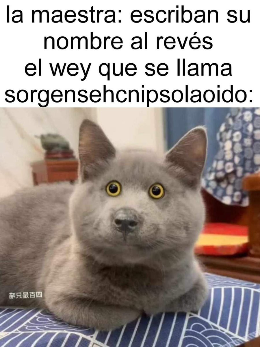 Los Últimos Memes :) Memedroid