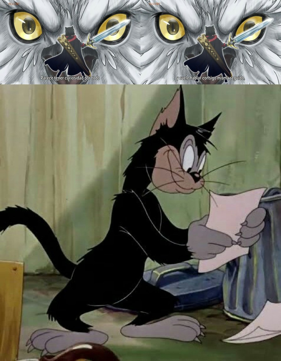 tipico de los gatos negro - Meme subido por 4nt :) Memedroid