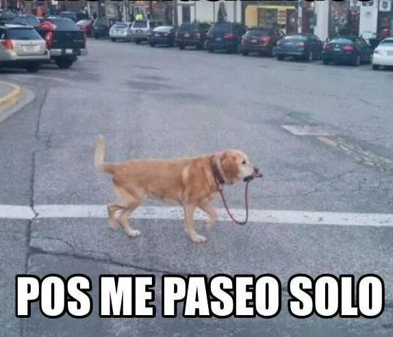 Pos me paseo - Meme subido por SamuelRA :) Memedroid