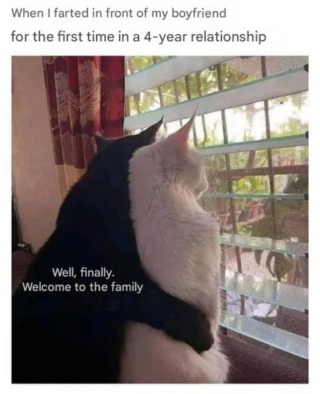 The best Confidence memes :) Memedroid