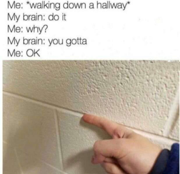 The best Walking memes :) Memedroid