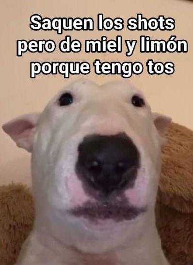 Los Últimos Memes :) Memedroid