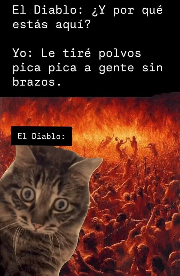 Top memes de Diablo en español :) Memedroid