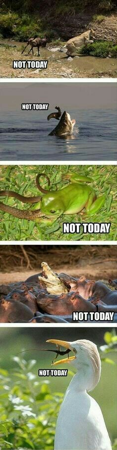 Not today - Meme subido por _KiAT_ :) Memedroid