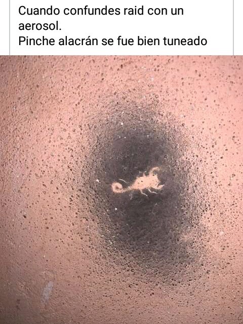 Rápidos y venenosos reto alacran - Meme subido por Bite_Skull_Studios ...