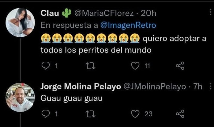 Guau guau guau - Meme subido por NEF_Deluxe :) Memedroid