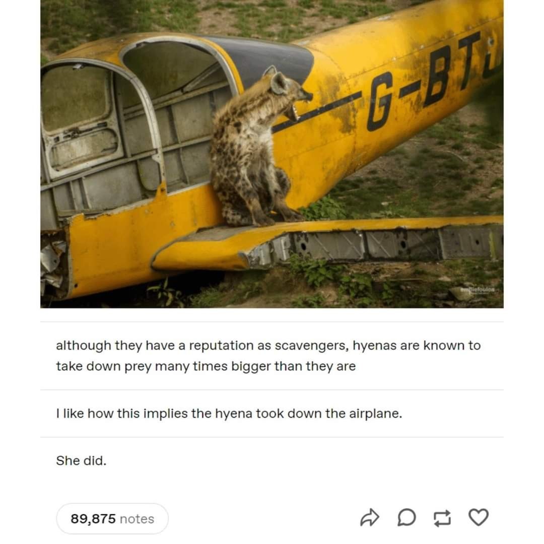 Sky predators - Meme subido por Edgelord90000 :) Memedroid