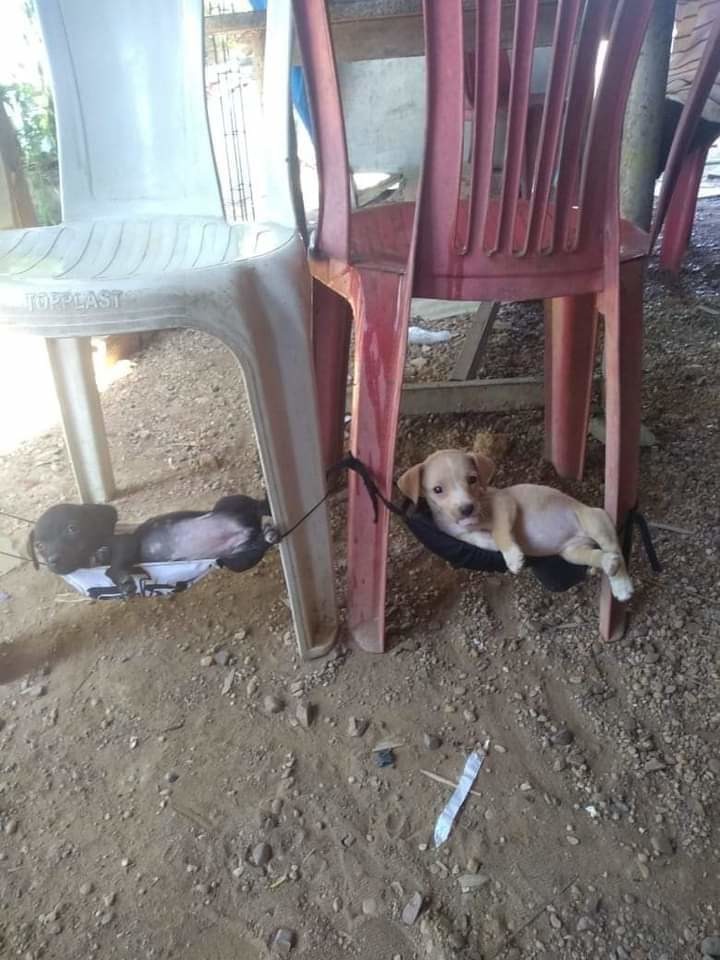 Relajao - Meme subido por PLVS_VLTRA_1492 :) Memedroid