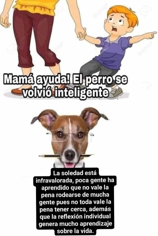 Top memes de Soledad en español :) Memedroid