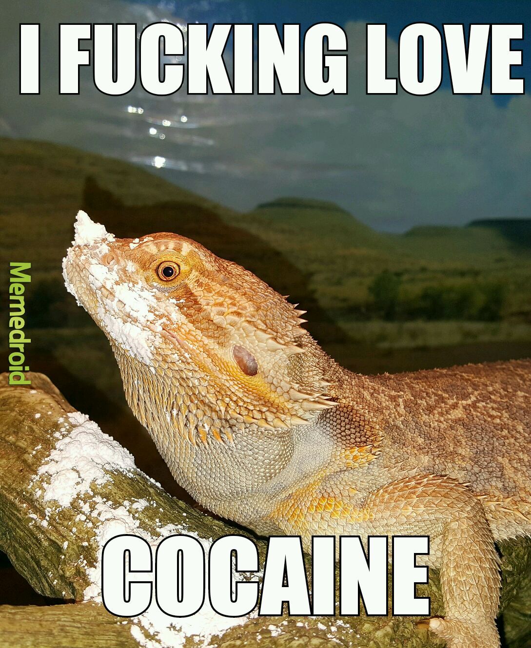 Don't worry, it's calcium powder - Meme by Linkcwz :) Memedroid