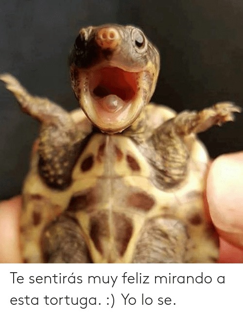 Feliz - Meme subido por S.d.e.t.a.o :) Memedroid