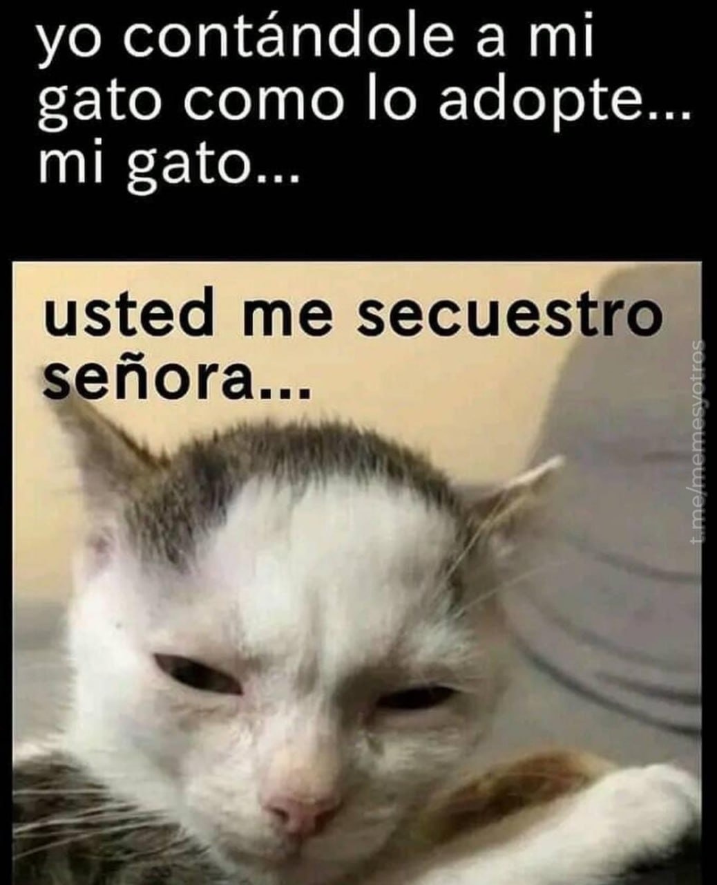 Top memes de Secuestro en español :) Memedroid