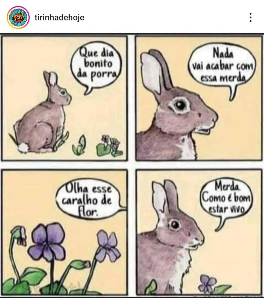 The best Coelho memes :) Memedroid