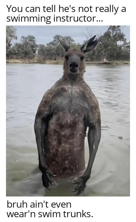 Swimming Lessons Memes Pin Page