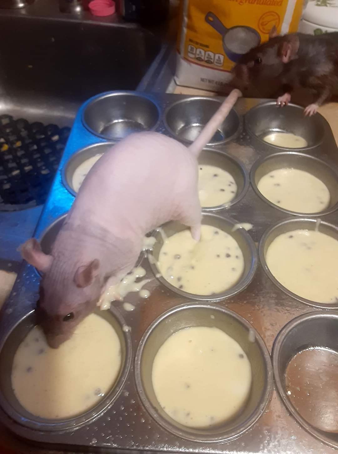 Chefcito en acción - Meme subido por NovaLee :) Memedroid