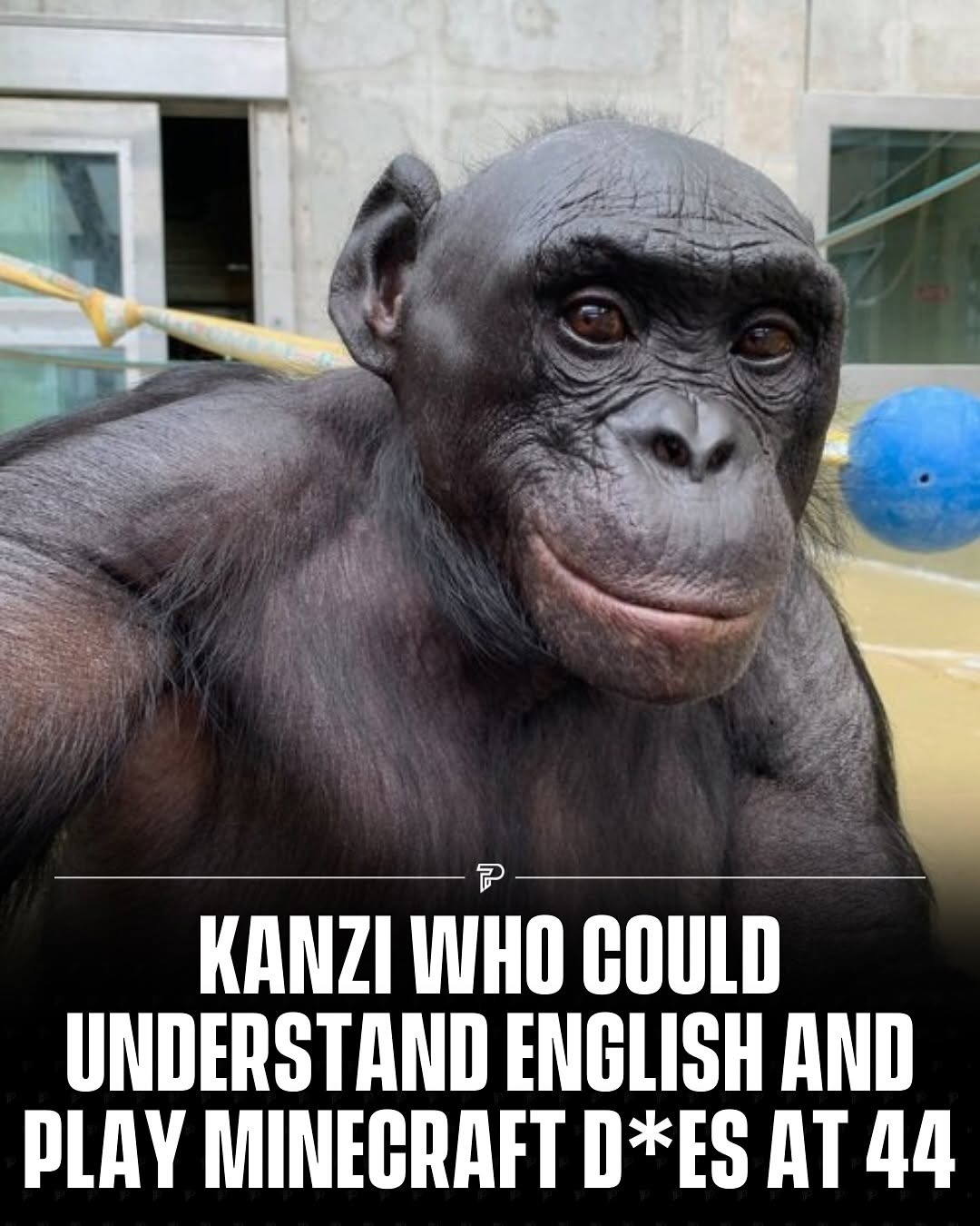 The Best Funny Minecraft Memes :) Memedroid