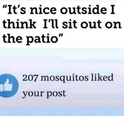 Stake out - Meme by ZiggyStarburst :) Memedroid