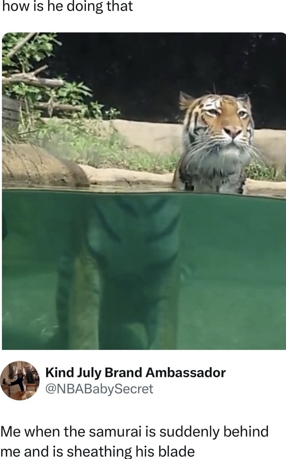 The best Samurai memes :) Memedroid