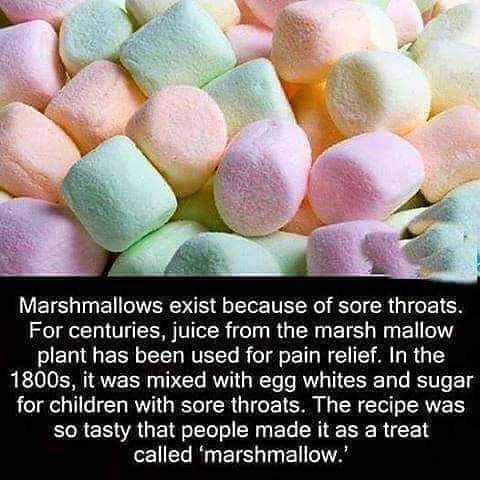 Mash mellow - Meme by HANDSOME-DUCK :) Memedroid