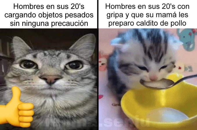 Top memes de Gripe en español :) Memedroid