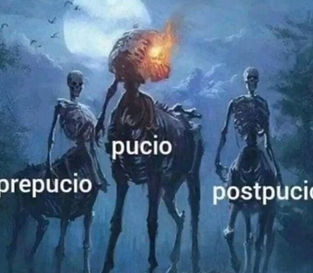 Los Últimos Memes :) Memedroid