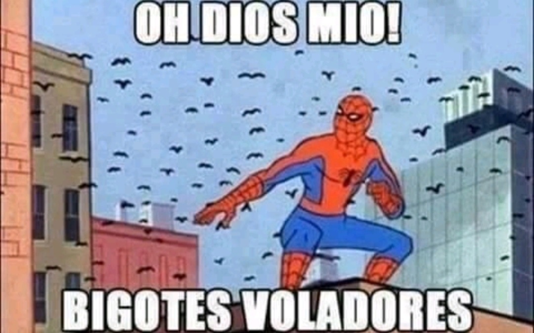 Últimos memes :) Memedroid