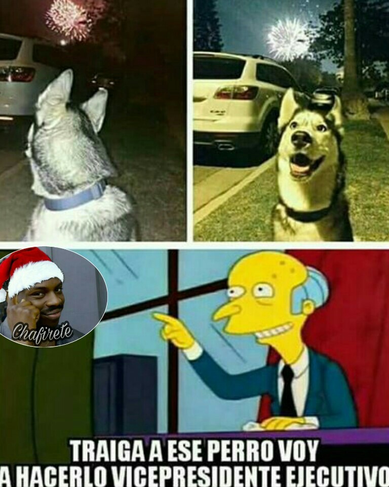 El macho - Meme subido por Chafirete :) Memedroid