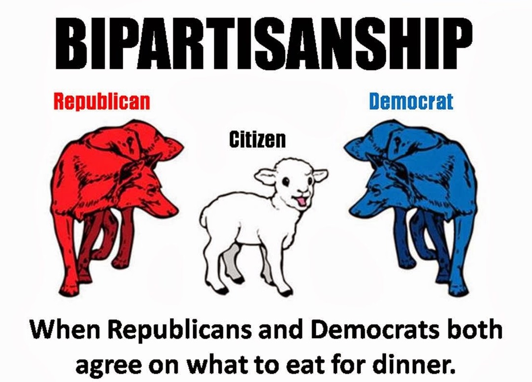 The Latest Memes :) Memedroid