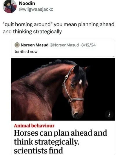 The best Strategy memes :) Memedroid