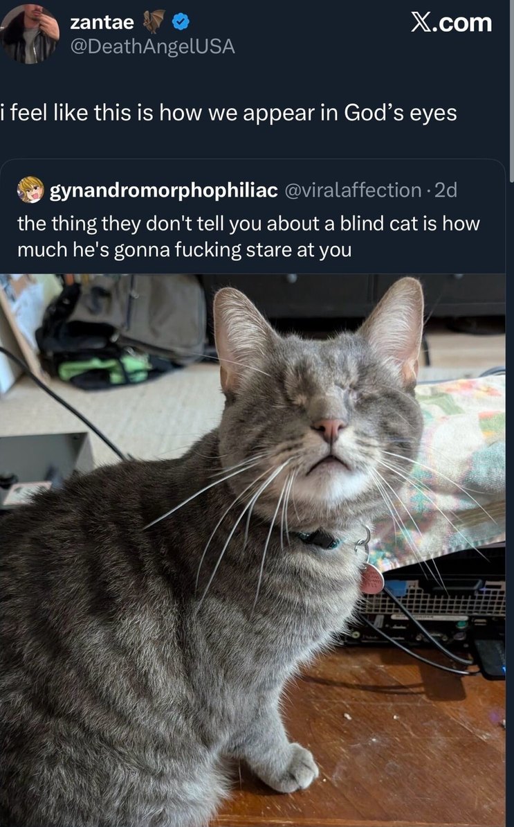 The best Stare memes :) Memedroid