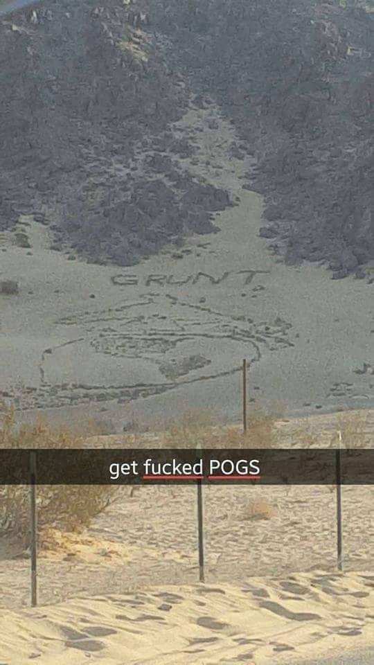 The Latest Memes :) Memedroid