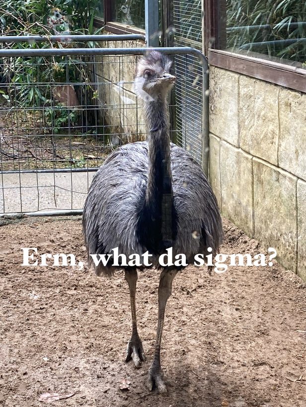 Latest memes / New memes :) Memedroid