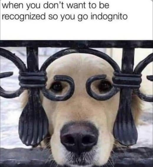 The best Hiding memes :) Memedroid