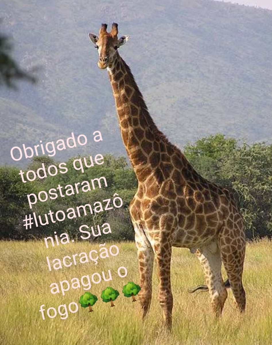 O título mandou um forte abraço, tá okay? - Meme by Andretj :) Memedroid