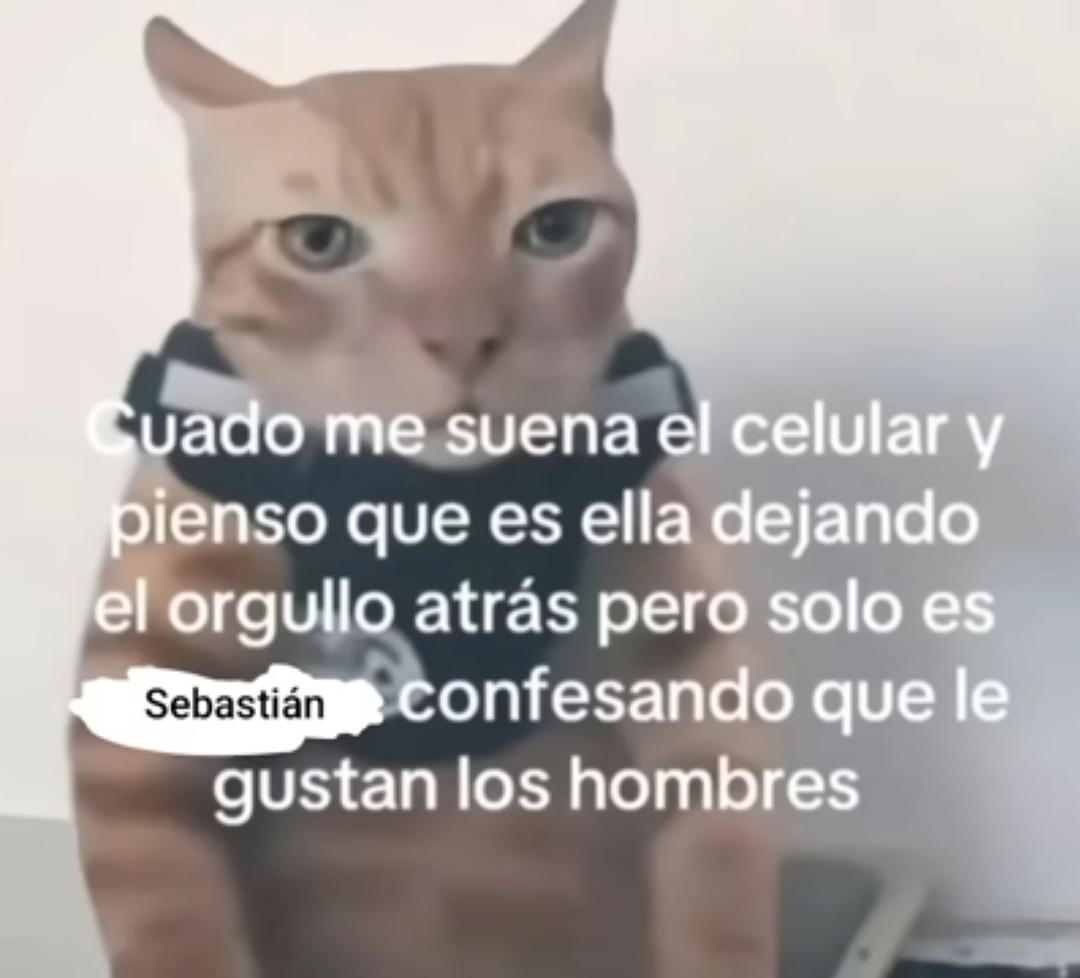 Top memes de Sebastian en español :) Memedroid