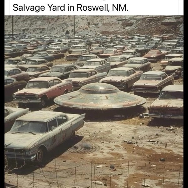 Best Alien Memes & Recent News About It