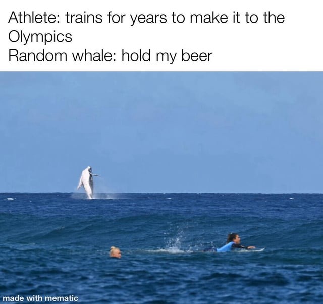 Latest memes / New memes :) Memedroid