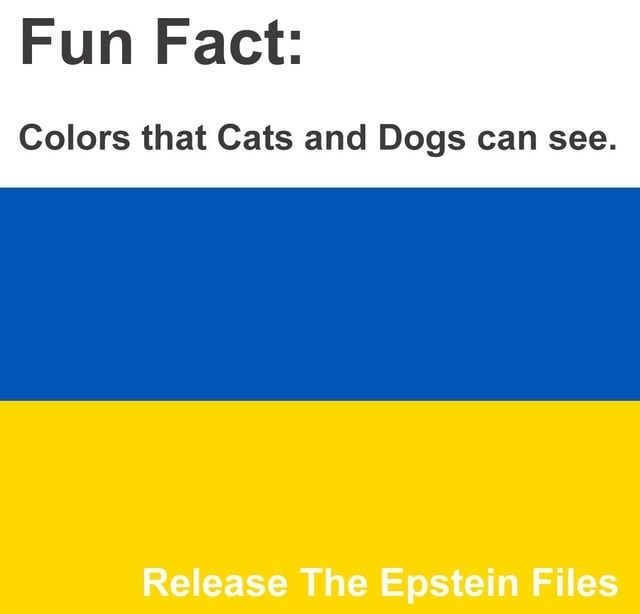 The best Vision memes :) Memedroid