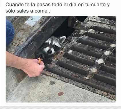 Tan Yo xD - Meme subido por Silverstack :) Memedroid