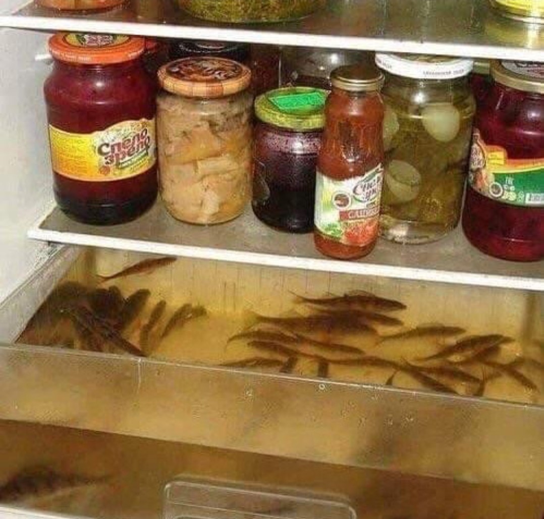 Todo muy fresco - Meme subido por Bipper22 :) Memedroid