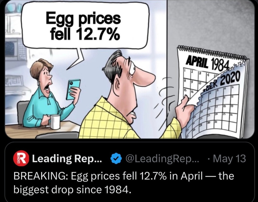 Latest memes / New memes :) Memedroid