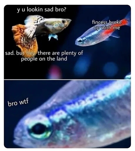 The best Breakup memes :) Memedroid