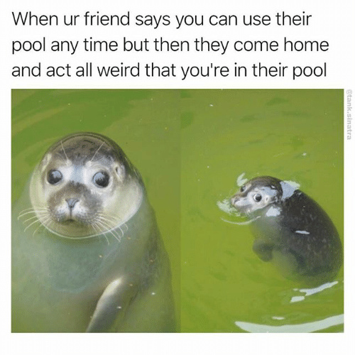 Oh - Meme by plumdog :) Memedroid