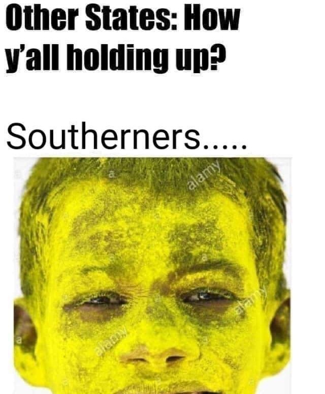 Where the pollen flows like spice - Meme by Lapinnoir :) Memedroid