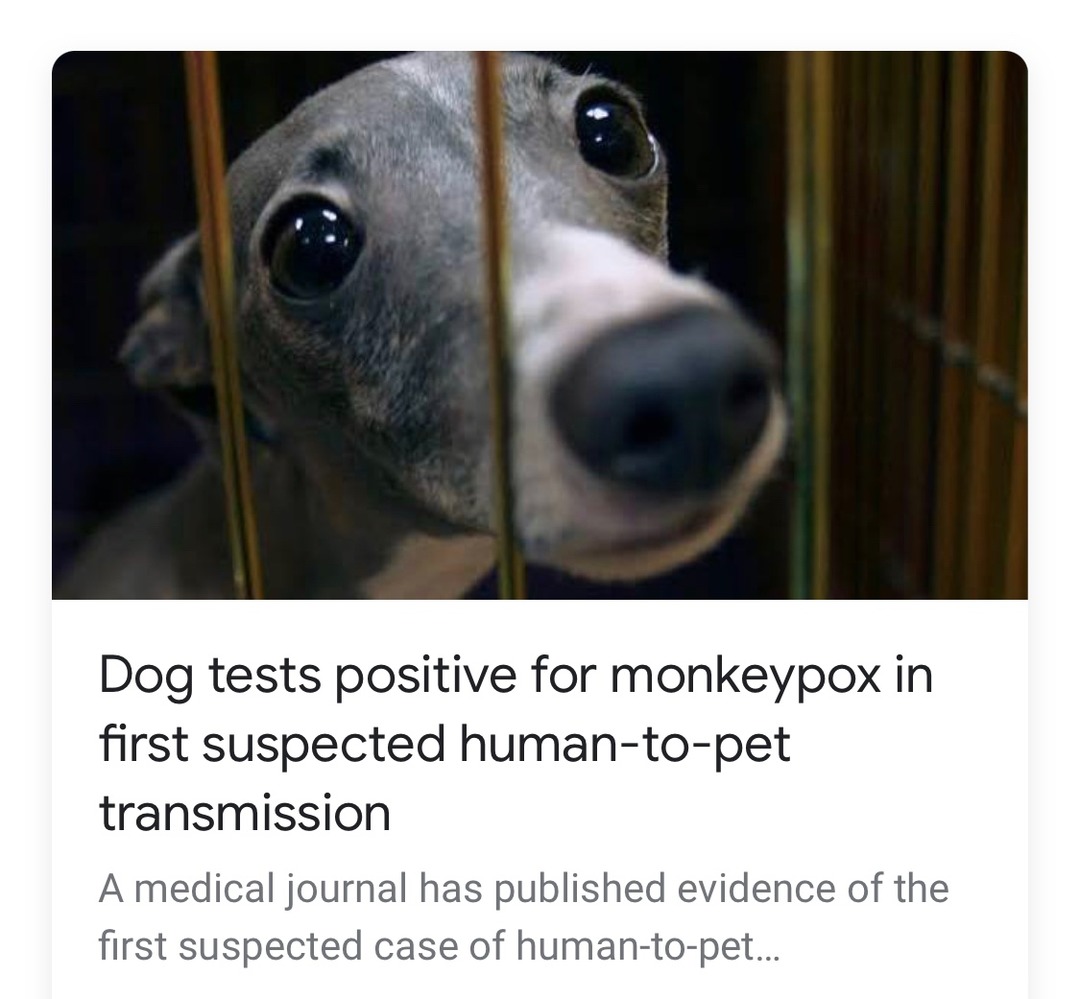 welllllllll. how did that happen - Meme by Milkmn60 :) Memedroid