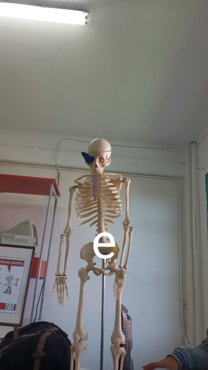 E eee (sans) - Meme subido por Artaniss :) Memedroid