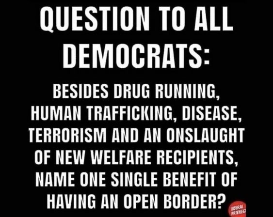 Liberal Privilege - Meme by Bloodnut187 :) Memedroid