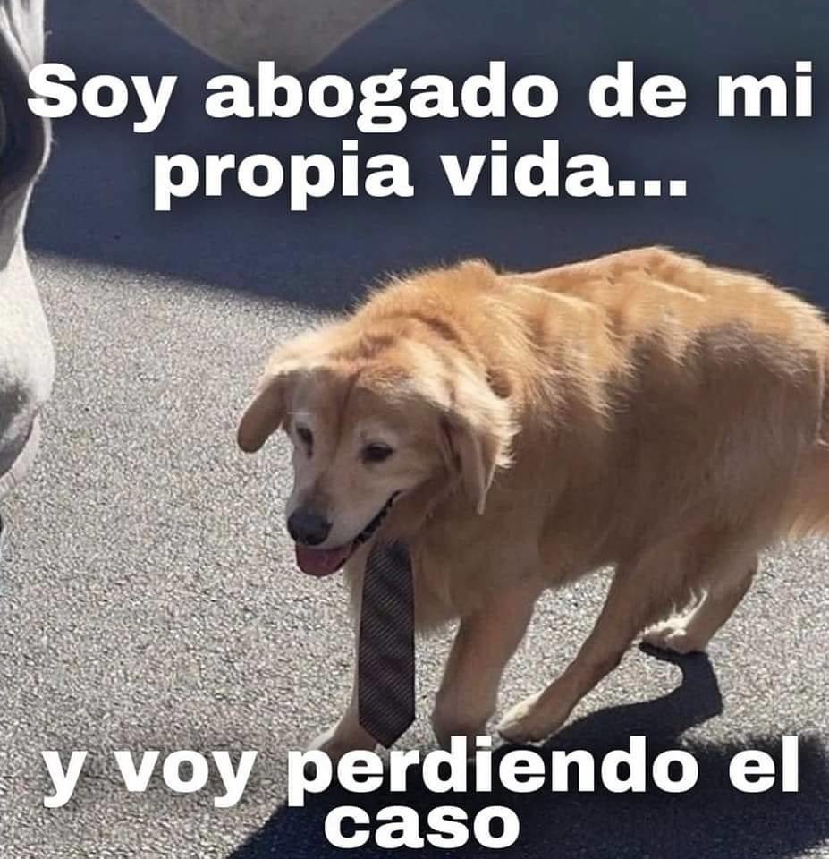 Así tal cual - Meme subido por Blemo1 :) Memedroid