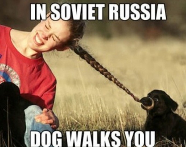 Latest memes / New memes :) Memedroid