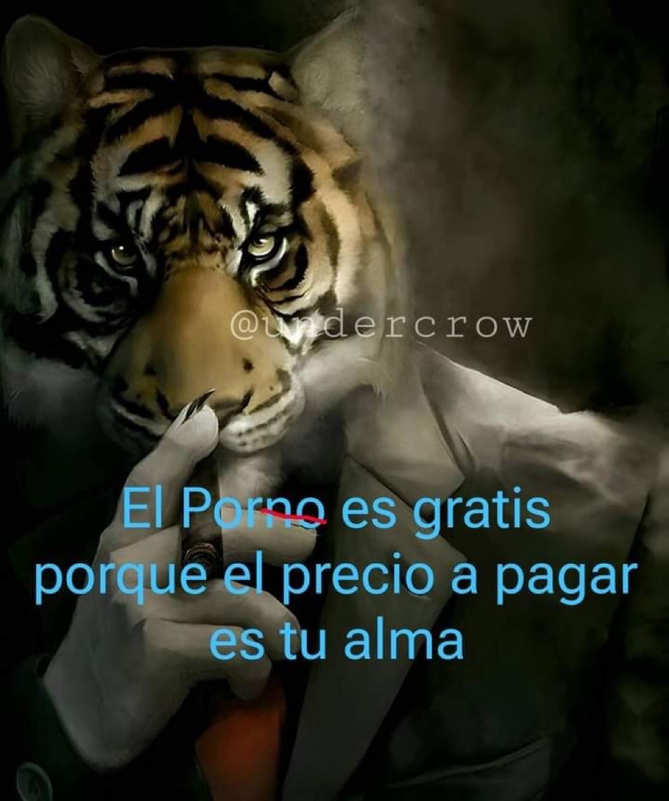 Los Últimos Memes :) Memedroid